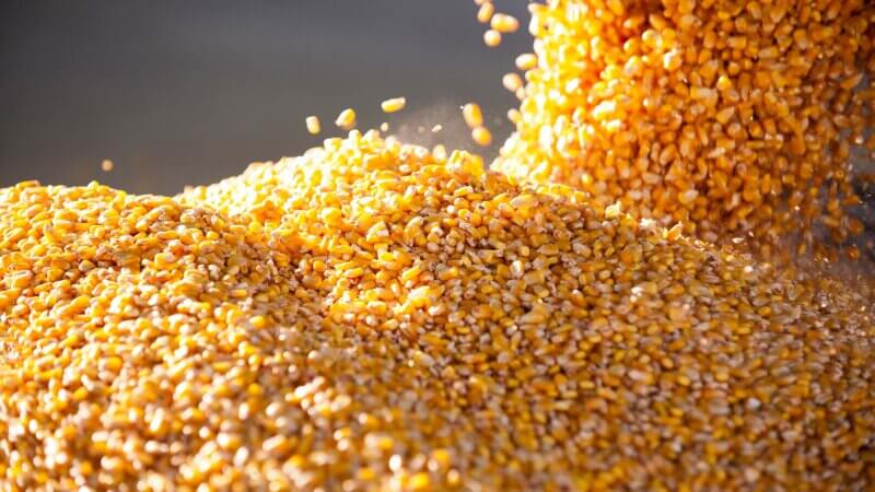 Months of advocacy spurs action on Mexico’s corn ban - Minnesota Corn ...